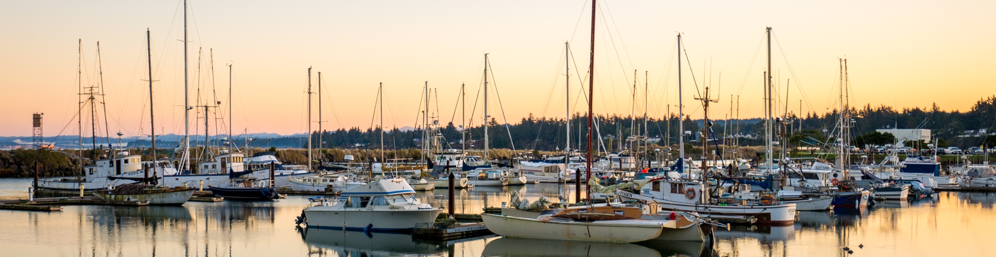 Octoberfish & Seafood Festival | Oregon's Adventure Coast