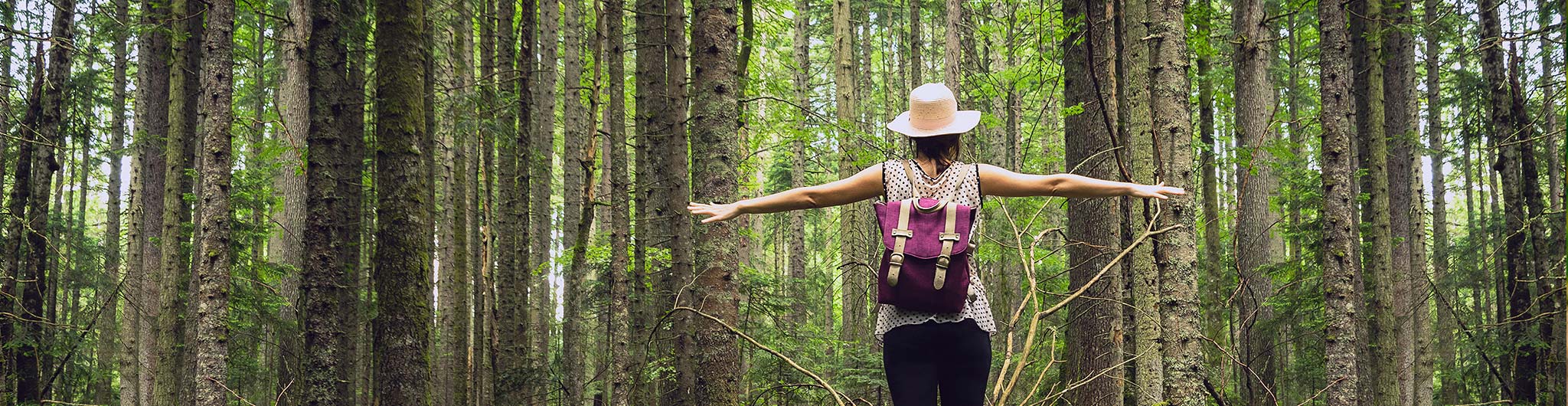 Forest Bathing & Mindfulness | Oregon's Adventure Coast